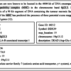 An example to determine the unique identifier based on the semantic ...