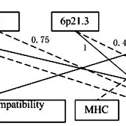 An example of the maximum matching in the bipartite graph.