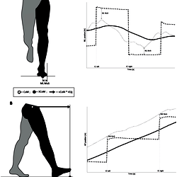 Schematic representation of the definition of the backward (BW) and ...