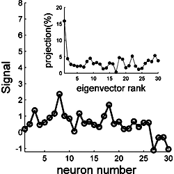 The signal in a heterogeneous population.