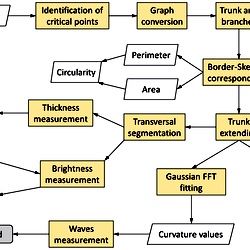 Flowchart of the features extraction algorithm.