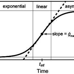 Three phases of growth in a typical sigmoidal curve.