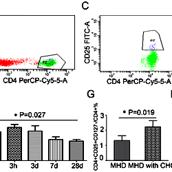The tendencies of Treg cells in PBMC after a single DFPP.