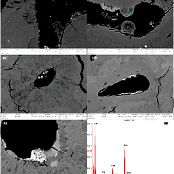 SEM images of globular inclusions.