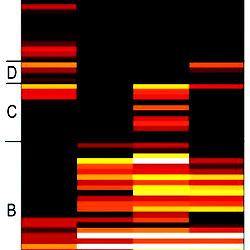 Heat map of clustered markers sets for bins assembled from each ...