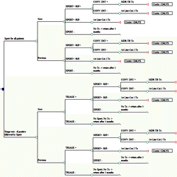 Simplified schematic presentation of the two pathways in the model.