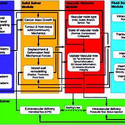 Flow diagram of the coupled in-silico cancer modelling solver.
