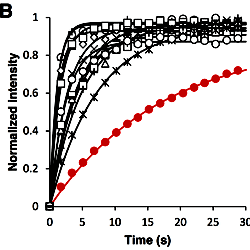 Mutagenesis and screening of AsLOV2 variants with improved thermal ...