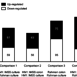 Summary of the microarray data.