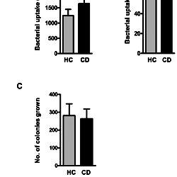 Normal bacterial uptake and killing by PMN from CD patients.