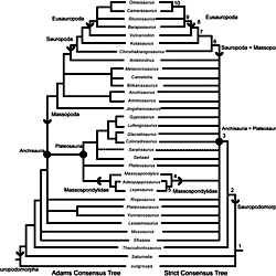 Phylogenetic hypotheses based on the revised data set of Upchurch et al ...