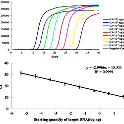 Item - Determination of the detection limit of the real-time PCR and ...