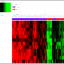 Heatmap summary showing the significantly differentially expressed T ...