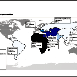 Overview on geographical origin.