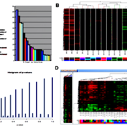 Microarray results.