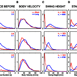 Body velocity, swing height and stance duration before and after the ...