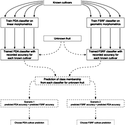 Flowchart of the manual ensemble process described in this work.