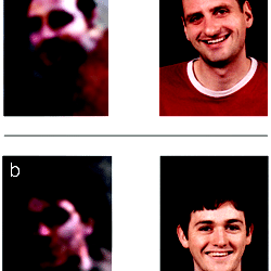 Example pairs from the face matching task in Experiment 1.
