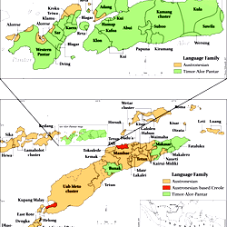 Linguistic map of the Lesser Sunda region.