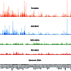 Graphical representation of the variation along the chromosome 2, of ...