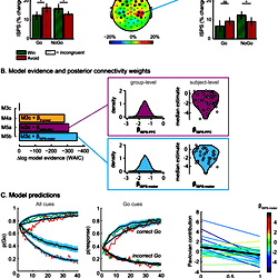 Midfrontal ISPS with lateral prefrontal and motor sites.