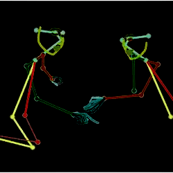 2D skeletons, including facial landmarks and hand details are ...