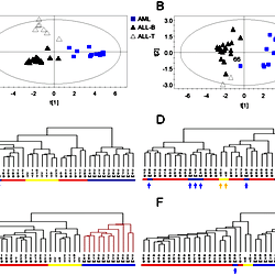 PCA score plot and cluster analysis tree plot of training and test sets.