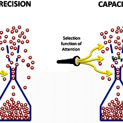 The Leaky Flask Model.