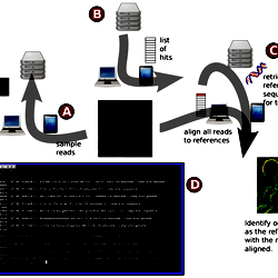 Client-server alignment without pre-specified reference genome.