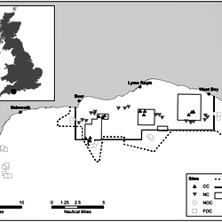 Locations of sites in Lyme Bay.