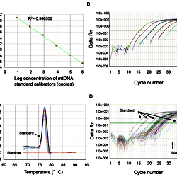 Representative standard curve, amplification plot, and dissociation ...