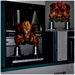 The load cell and jig used to position the pelvis and femur.