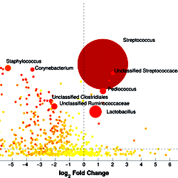 Bubble graph illustrating the groups significantly different between ...