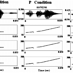 The pitch contours of three different words, as examples for each of ...