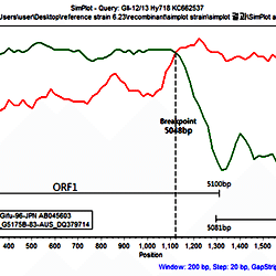 SimPlot analysis was performed using a window size of 200 nucleotides ...