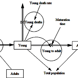 Population stock and flow diagram.