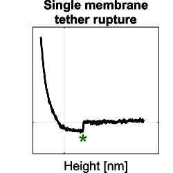 Example of rupture events.