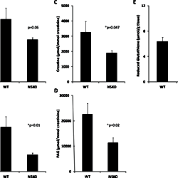 Quantification of selected ions identified by UPLC-ESI-QTOF-MS based metabolomics.