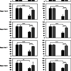 Neutralization of SFTSVpv by convalescent-phase mouse sera.