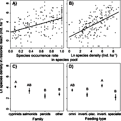 Species density (± SE) in restored reaches as a function of (A) species ...