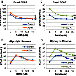 Extracellular acidification rate (ECAR) differs in AD-A and AD-N LCLs.