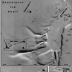 Item - Shackleton Ice Shelf very high resolution satellite image ...