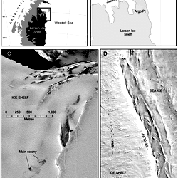 A and B; maps showing location of the Jason Peninsula colony.