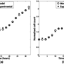 Growth curves produced by using a constant transition rule (a) and a ...