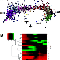 3D network graph and heatmap representations of 1846 forenames from the ...