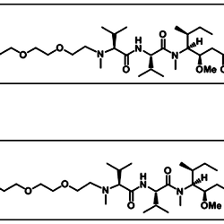ADC payload chemical structures.