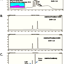 Antibody HPLC analysis.