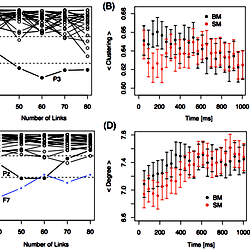 Comparing local properties of biological motion (BM) and scrambled ...
