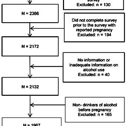 Flowchart of the sampling procedure.