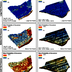 Fish occurrence spatial predictions.